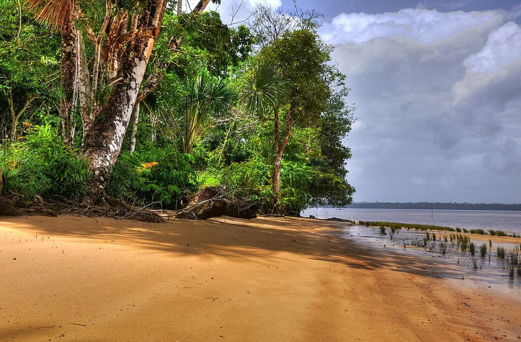 Exploring the Essequibo: Guyana's Mighty Watercourse | LAC Geo